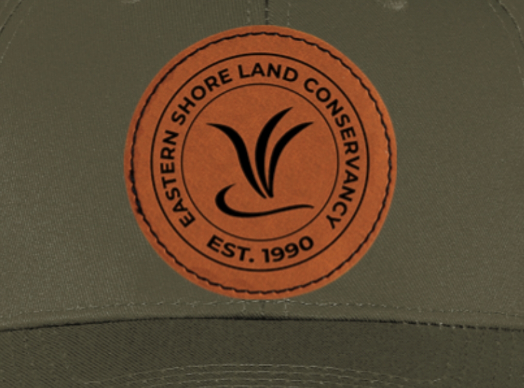 Ways to Support - ESLC