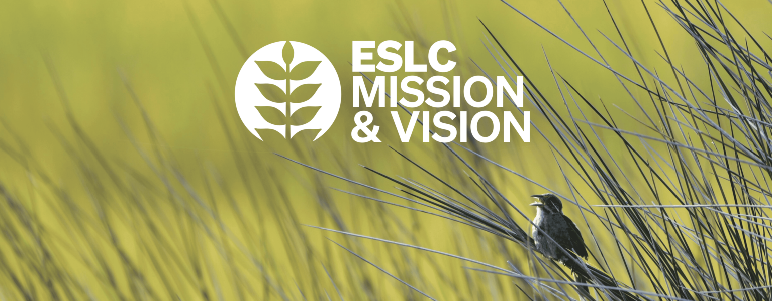 Mission & Vision - ESLC