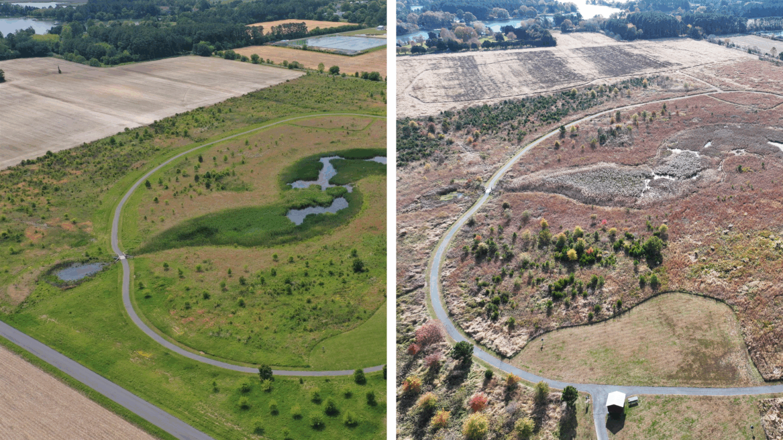 New Trails, New Trees, New Tools at Oxford Conservation Park - ESLC